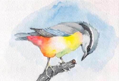 Картина птицы акварель
