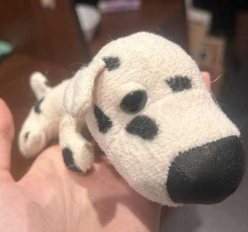 The dog collection