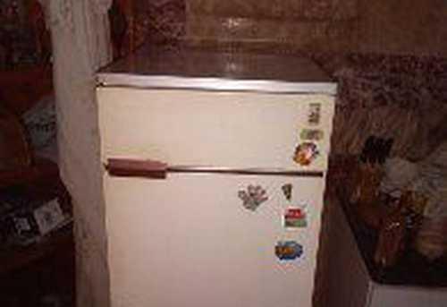 Холодильник Бирюса-17