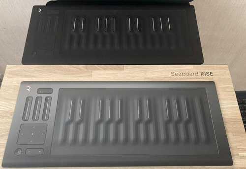 Roli seaboard rise 25