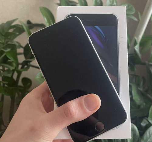 iPhone SE (2020), 64 ГБ