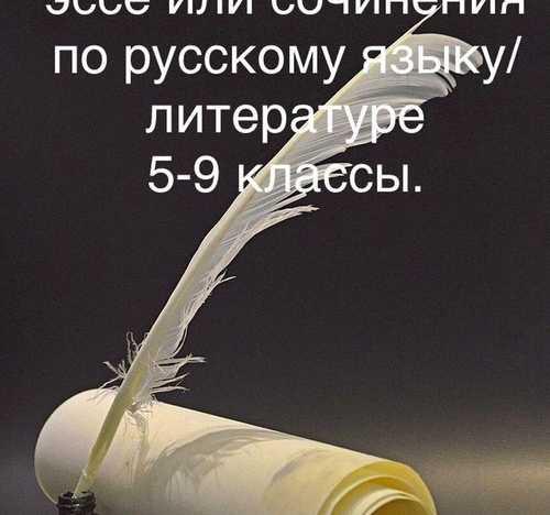 Напишу сочинение или эссе