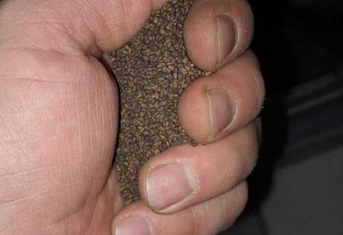 Семена эспарцет суданка люцерна