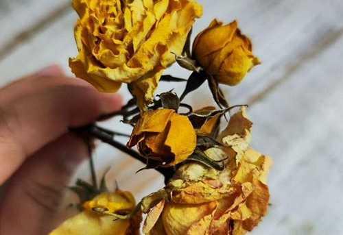 Мини букет из сухоцветов с жёлтыми розами