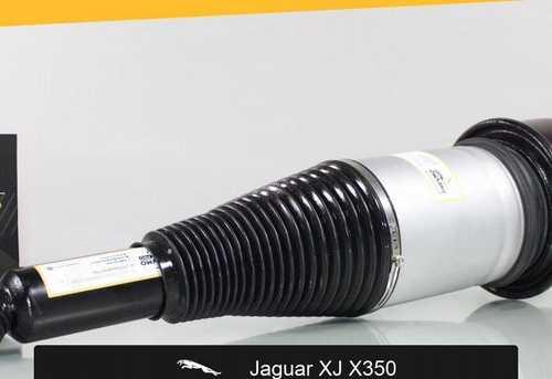 Пневмостойка для Jaguar XJ X350 (2003—2009) Задняя
