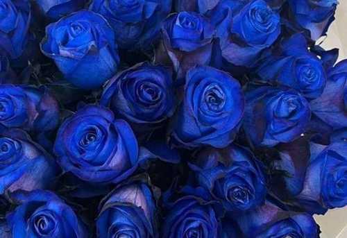Букет роз. Розы синие. Большой букет синих роз