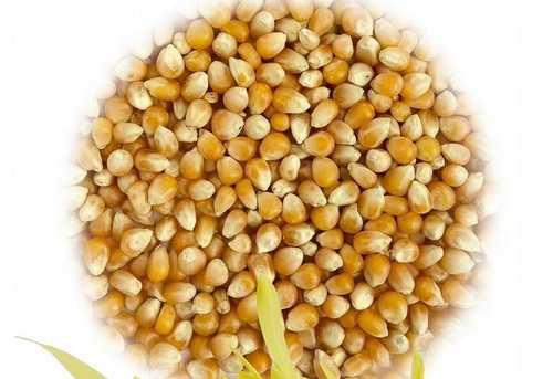 Семена Микрозелень от 50 грамм арт.0051