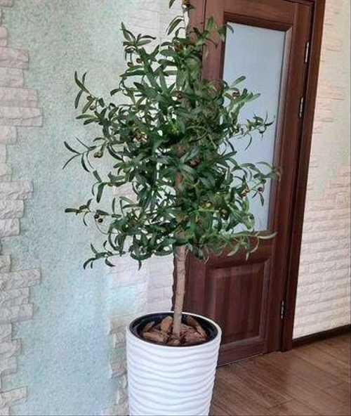 Искусственные растения Искусственное дерево Олива