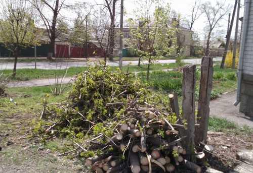 Дрова бесплатно самовывоз