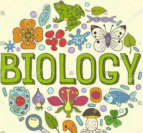 Репетитор по биологии