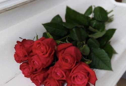 Букет из красных роз на 14 февраля