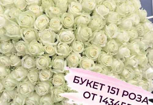 Розы. Букет из 151 розы (50-100 см)
