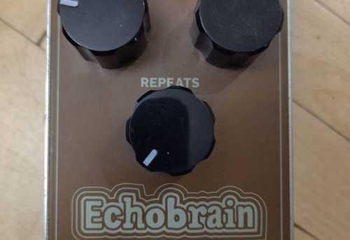 TC electronic echobrain