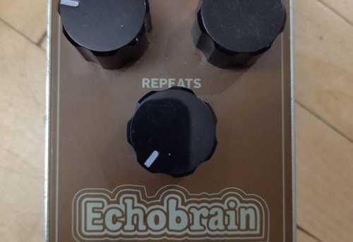 TC electronic echobrain