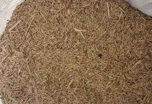 Семена рарзноя трава суданка люцерна эспарцет