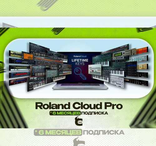 Roland Cloud / Подписка на 6 месяцев