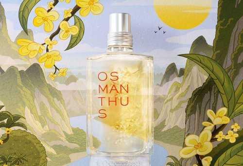 L'occitane osmanthus отливант, распив