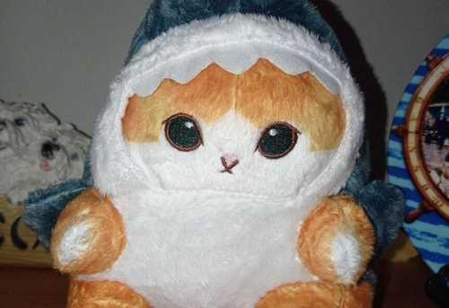 Кот-акула