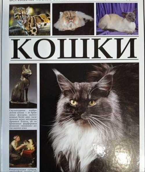 Кошки - Энциклопедия