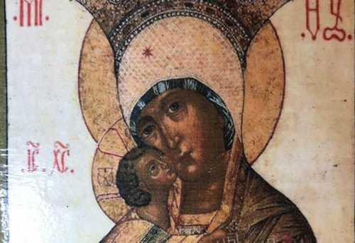 Икона Владимирская Божия Матерь Богородица сосна