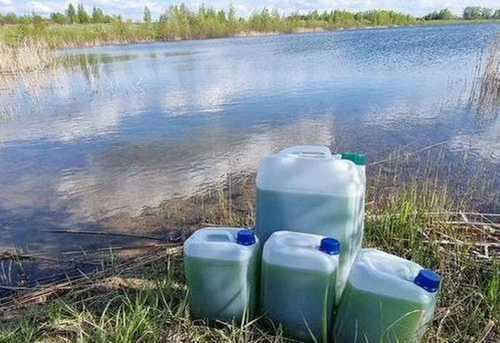 Живая хлорелла для чистки водоема