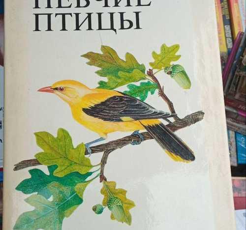 Певчие птицы