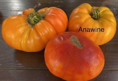 Семена коллекционных томатов ч.10