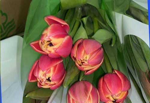 Свежие тюльпаны для любимых дам