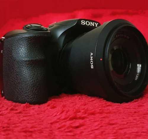 Sony