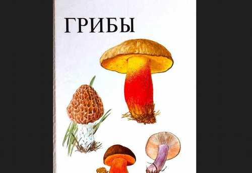 Книга грибы - справочник - определитель