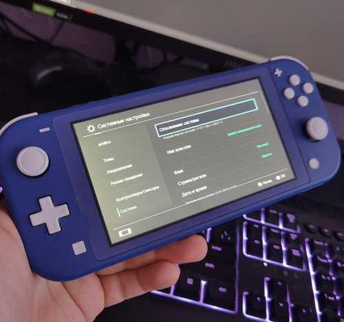 Nintendo switch lite прошитая