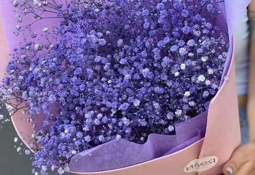 Фиолетовая гипсофила доставка цветов