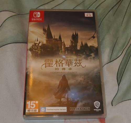 Hogwarts Legacy nintendo switch