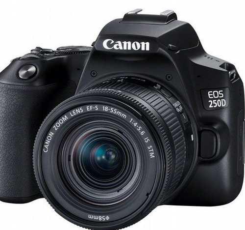 Canon EOS 250D Kit EF-S 18-55mm f/4-5.6 IS STM