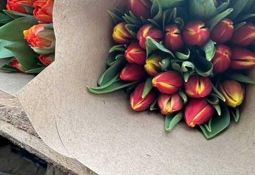 Тюльпаны оптом предзаказ к 8 марта