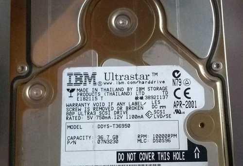 HDD IBM scsi ddys-T36950 36,7Gb 80pin