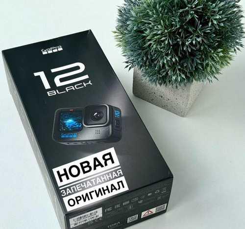 Новая GoPro Hero 12