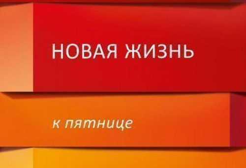 Кевин леман: новая жизнь к пятнице. лучшая версия