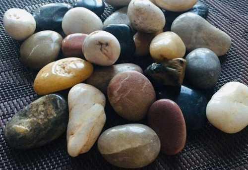 Декоративные камни (галька шлифованная 3х цветная