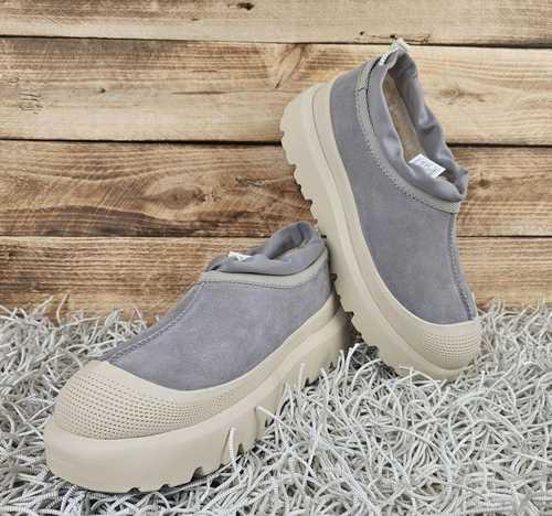 Угги UGG Tasman Hybrid Seal Birch женские оригинал