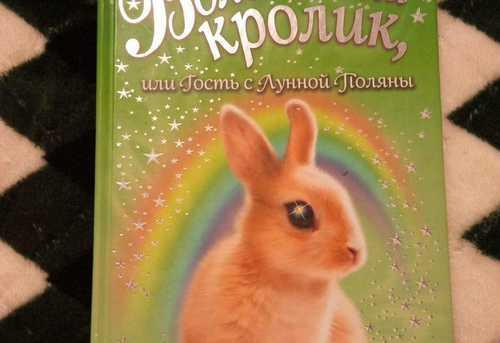 Книга Волшебный Кролик