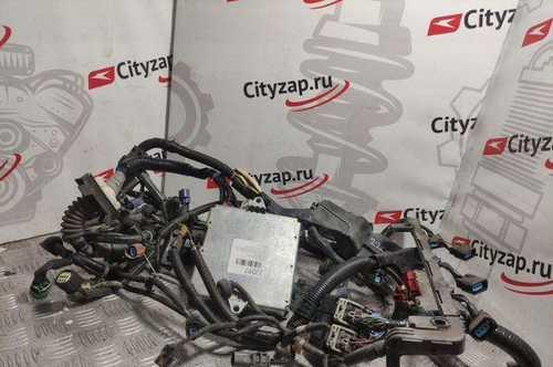 Проводка двс Honda Elysion RR1 K24A