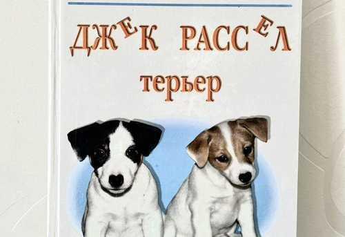 Джек рассел терьер