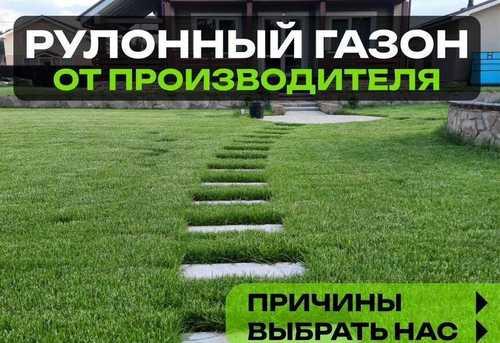 Рулонный газон Элитный. От производителя