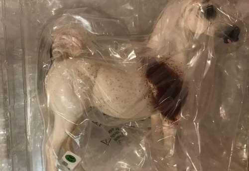 WIA Arabian Mare - Bloody Shoulder Grey