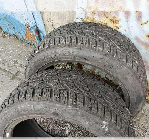 Tigar Winter 245/45 R18 100V