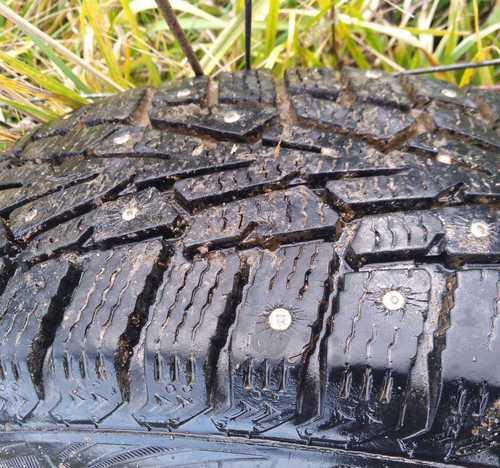 Cordiant Snow Cross 175/65 R14