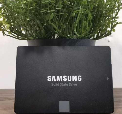 Жёсткий диск SSD Samsung 250gb