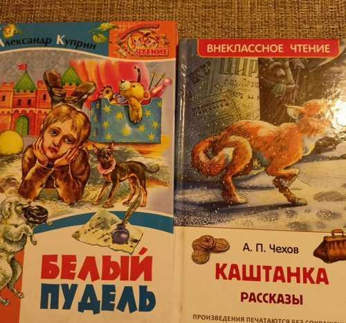 Книги для внеклассного чтения