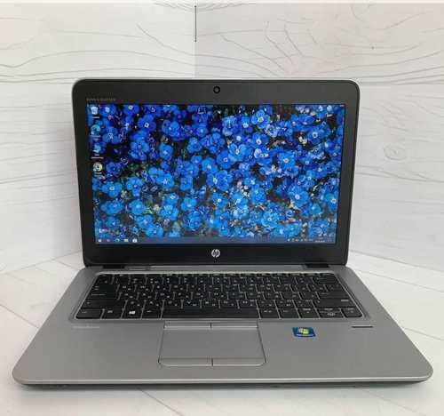 Ноутбук HP EliteBook 725 AMD A8 SSD для работы